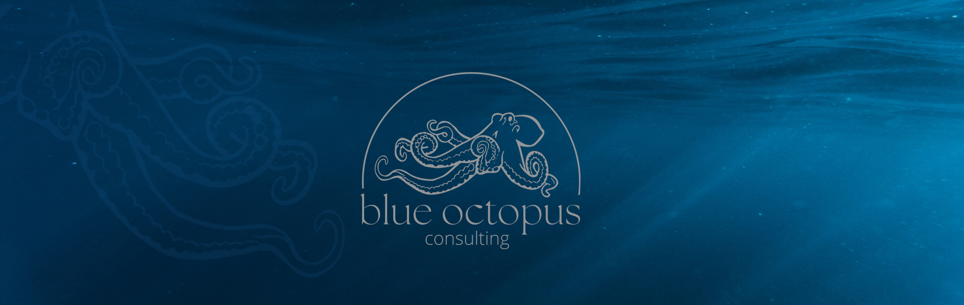 Home Page - blue octopus consulting